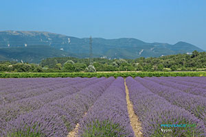 Nyons - Provencal Drome - Provence Web