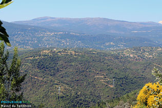 Tanneron - Village du Var - Provence Web