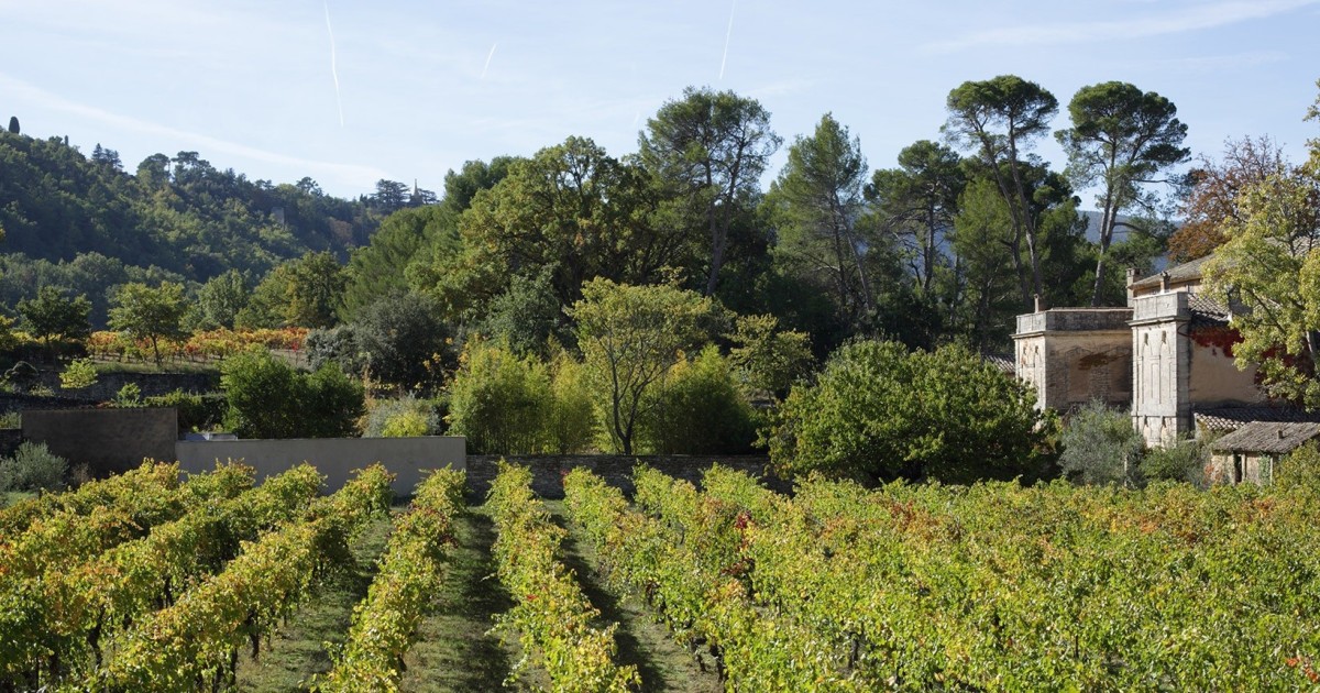 Wines of the Luberon | AOC Luberon | Provence, France