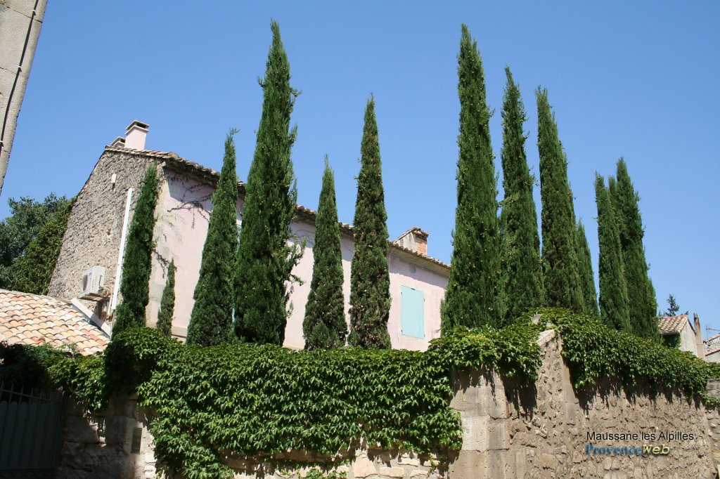 Maussane les Alpilles - Village in the Alpilles - Provence Web - France