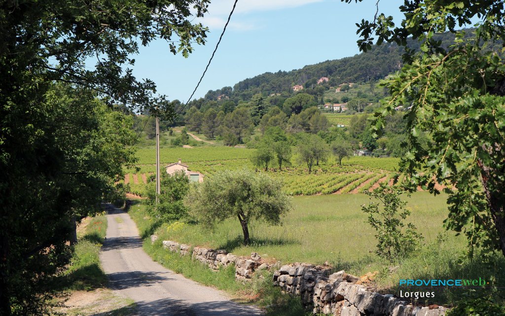 Lorgues - Picturesque village in the Var - Provence Web